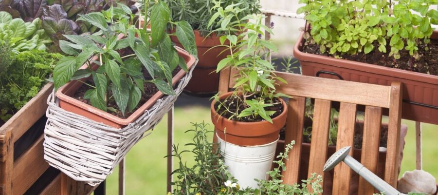 Jardines en el Balcón: Transforma tu Espacio Exterior en un Oasis